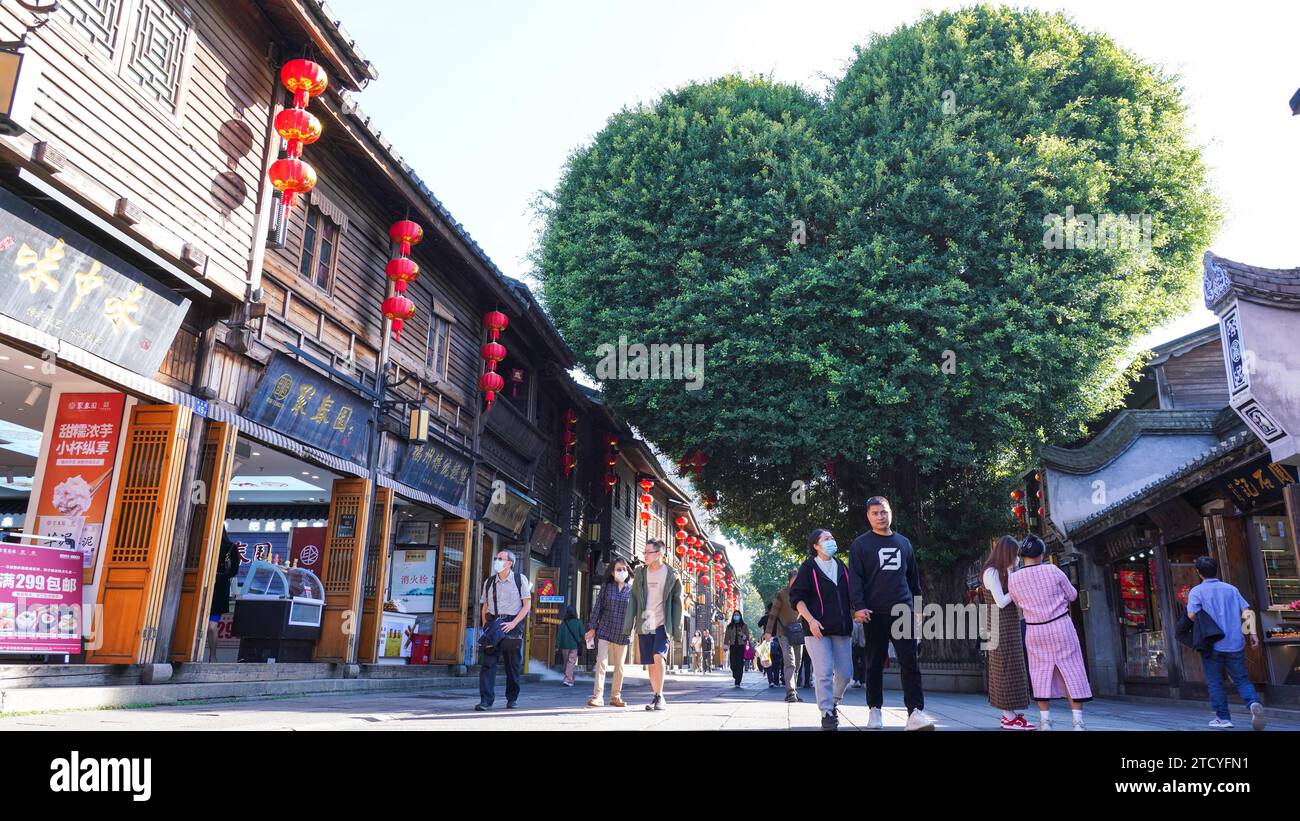 A banyan tree resembling the shape of a heart at Sanfang Qixiang draws ...