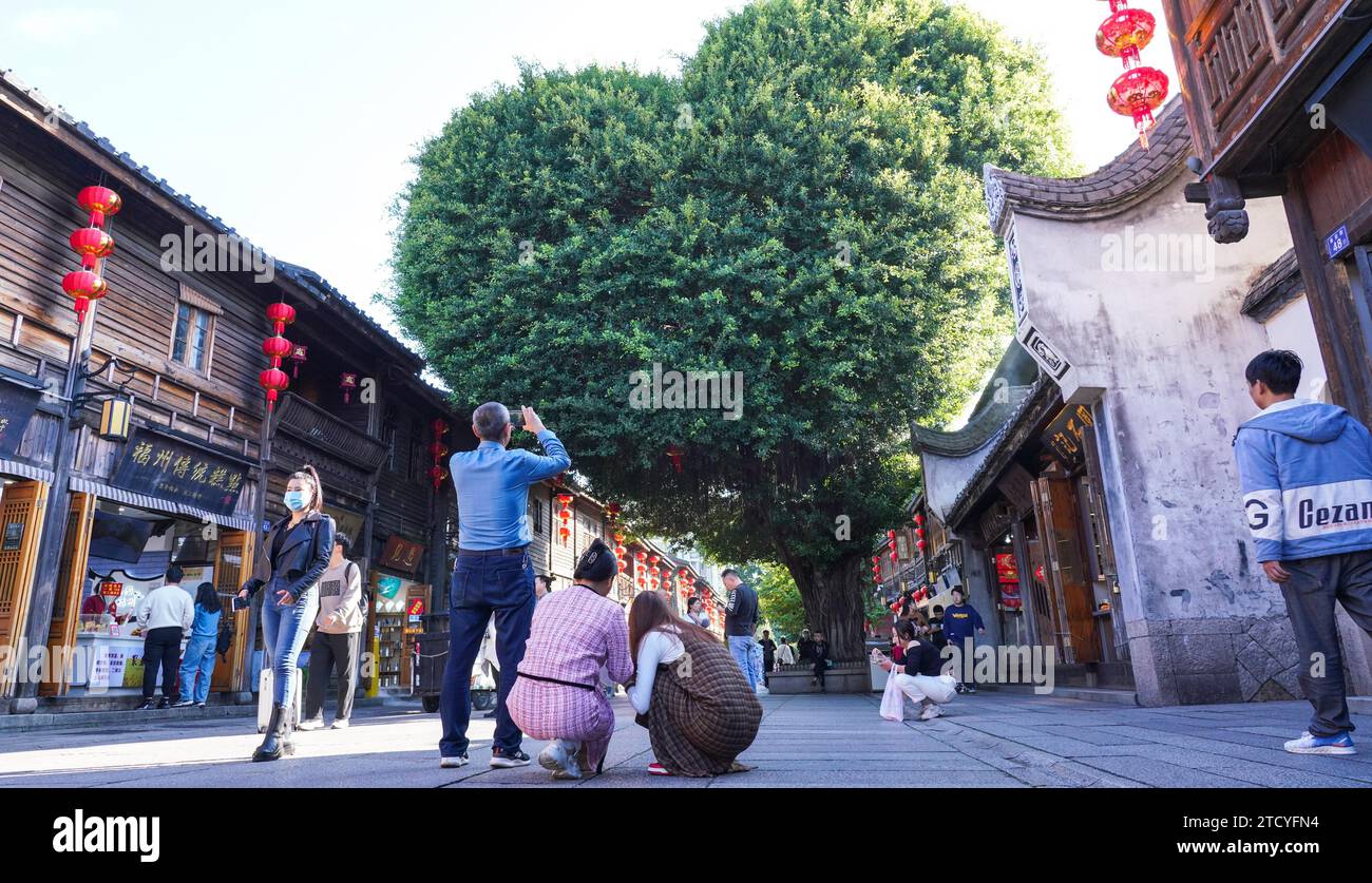 A banyan tree resembling the shape of a heart at Sanfang Qixiang draws ...