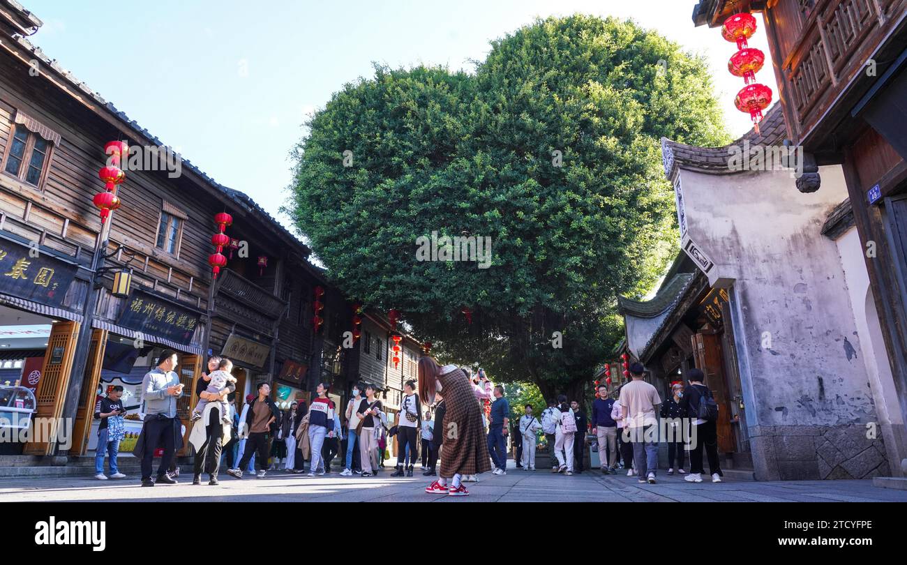 A banyan tree resembling the shape of a heart at Sanfang Qixiang draws ...
