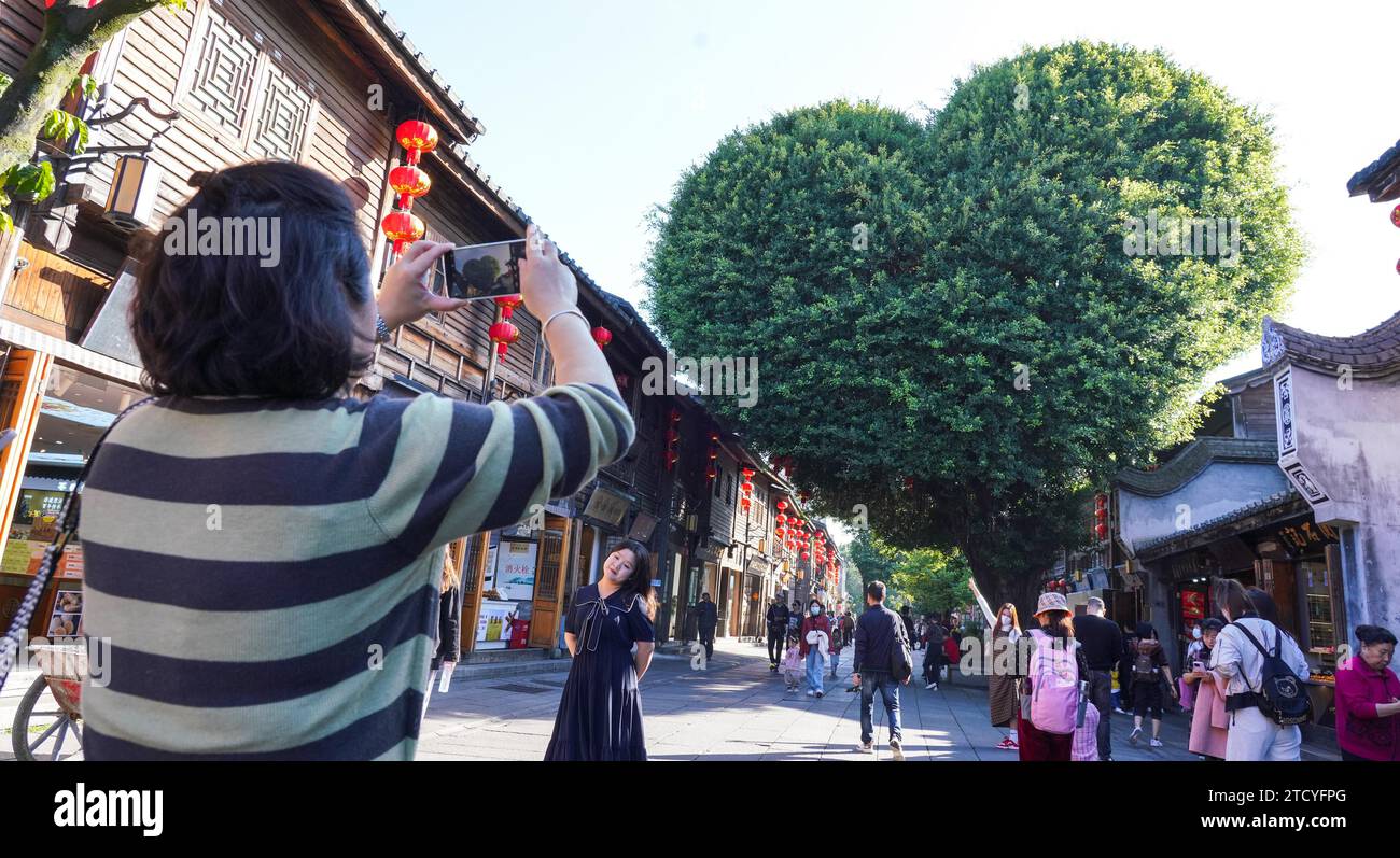 A banyan tree resembling the shape of a heart at Sanfang Qixiang draws ...