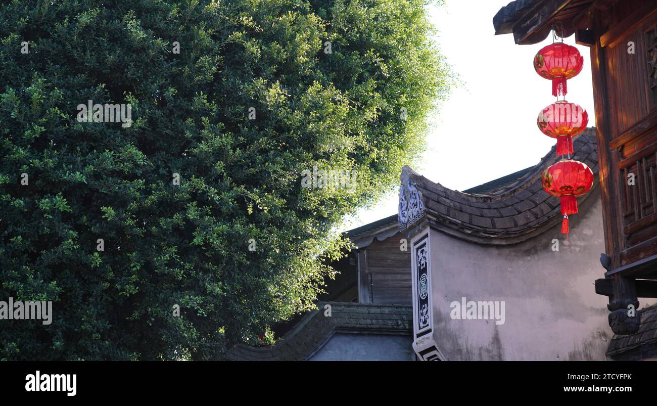 A banyan tree resembling the shape of a heart at Sanfang Qixiang draws ...