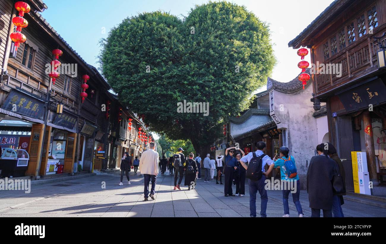 A banyan tree resembling the shape of a heart at Sanfang Qixiang draws ...