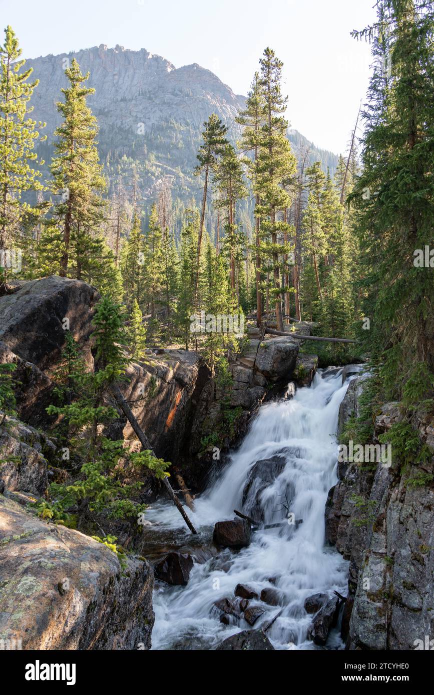 The North Inlet Falls cascade through a rugged pine forest, a stunning ...
