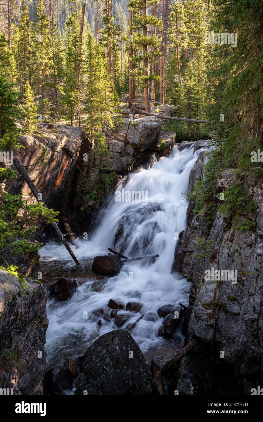 The serene North Inlet Falls gracefully descends amidst a verdant pine ...