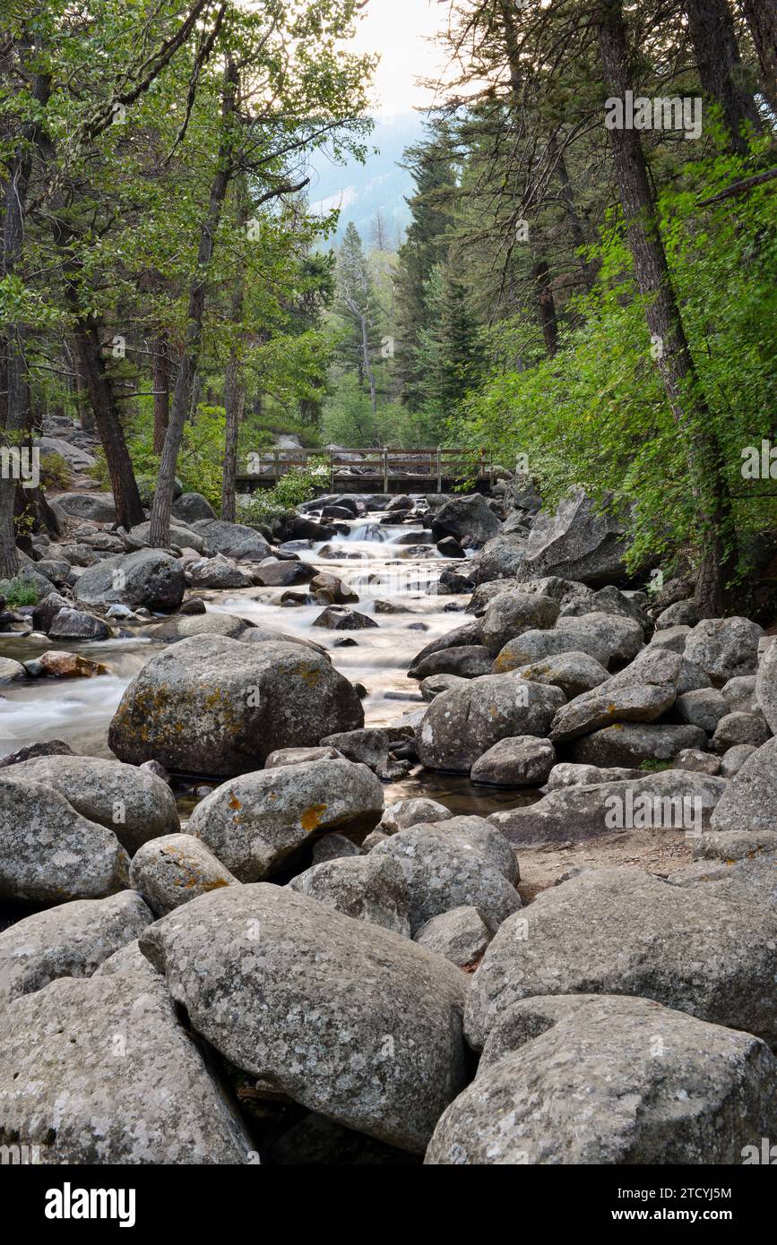 A footbridge across the creek at the Woodbine Campground in the Custer ...
