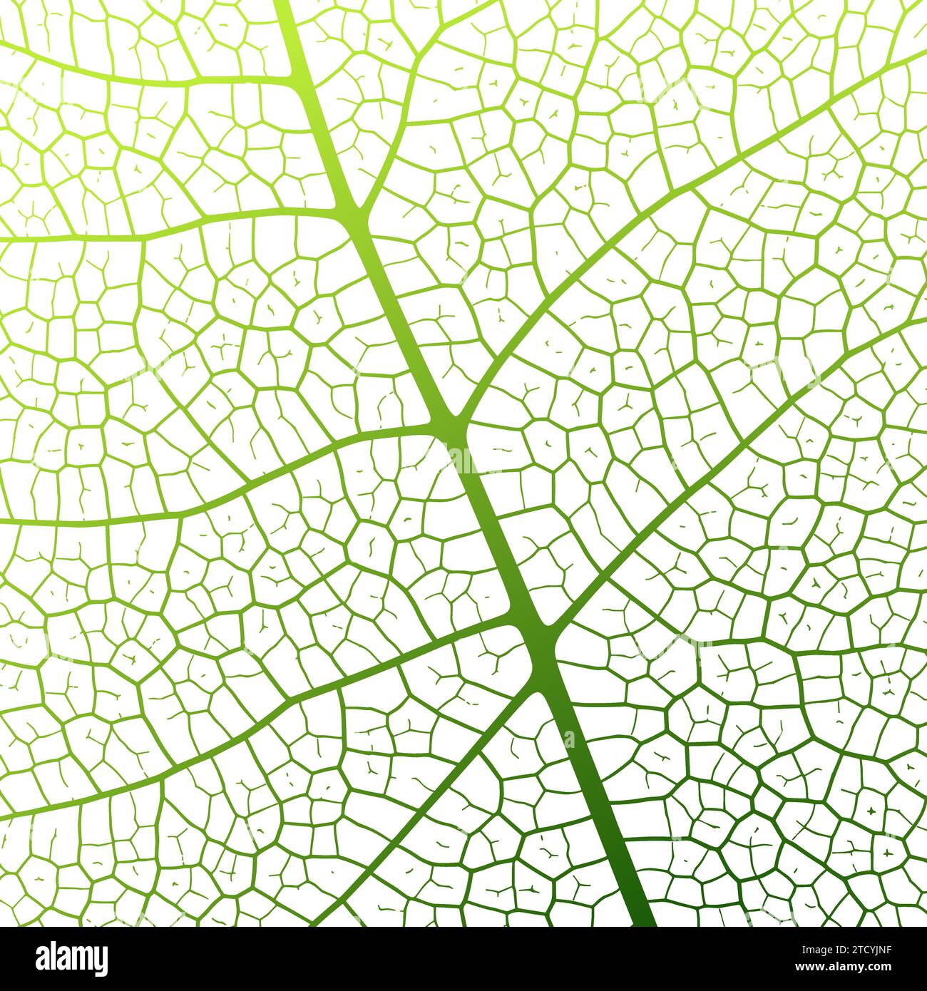 Grow cells Stock Vector Images - Alamy