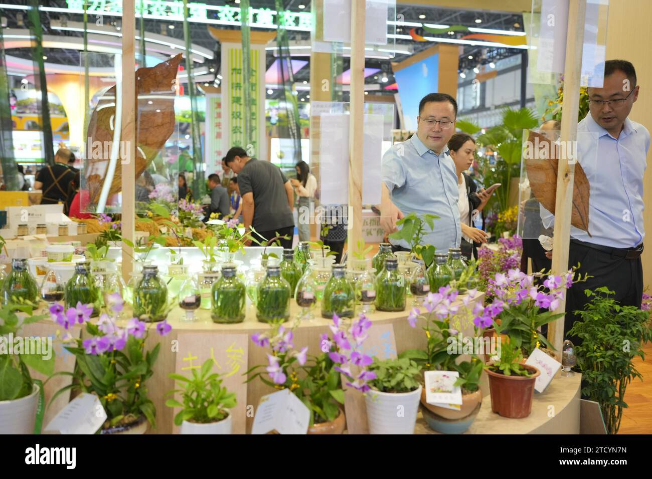 The 26th China (Hainan) International Winter Trade Fair for Tropical ...