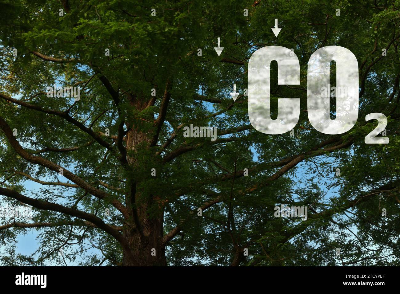 Reduce CO2 emissions. CO2 inscription with arrows and beautiful green ...