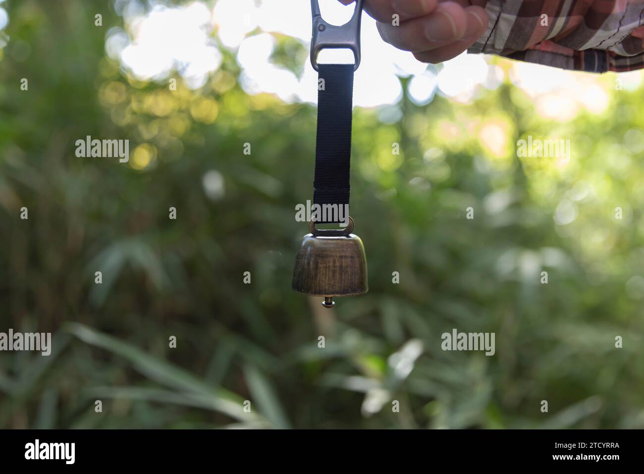 A bear bell with hand at the green forest in Autumn Stock Photo - Alamy