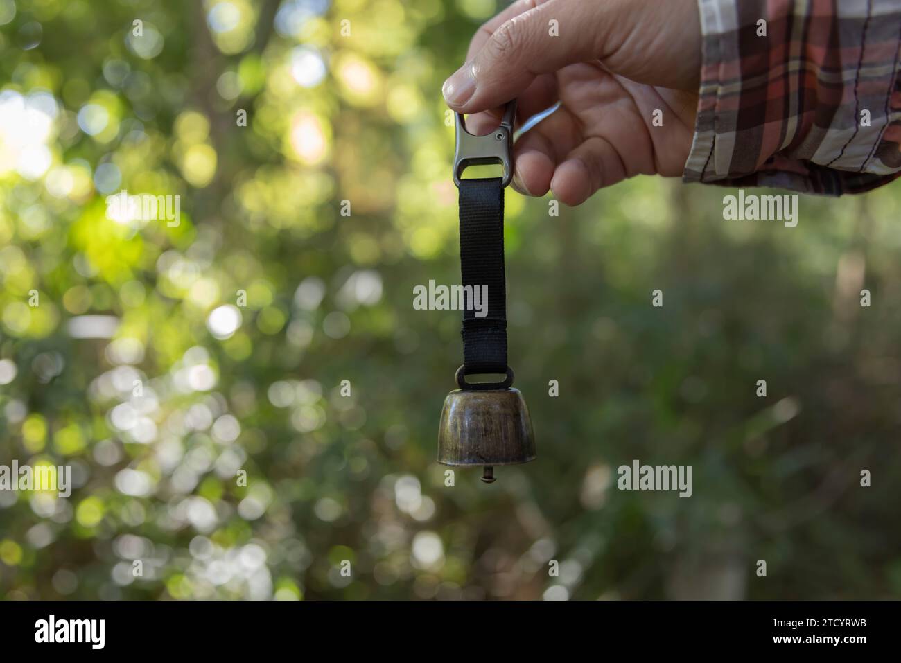 A bear bell with hand at the green forest in Autumn Stock Photo - Alamy