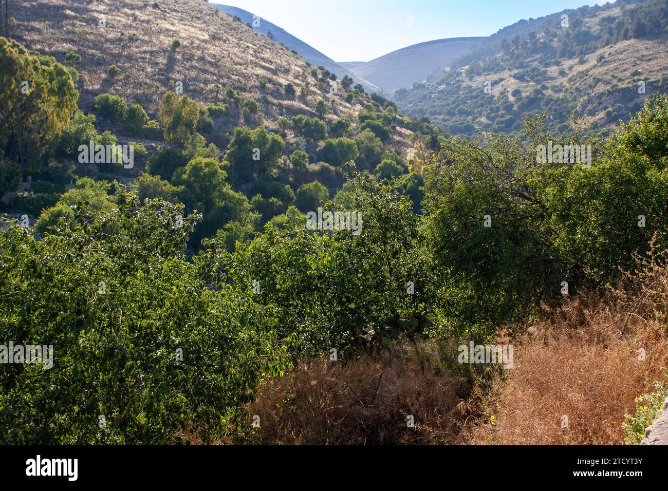 view in the upper Galilee in North Israel Stock Photo - Alamy
