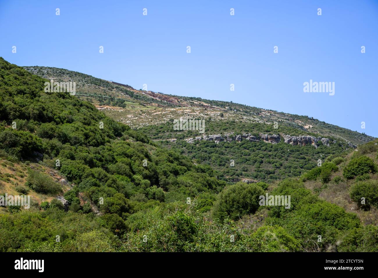 view in the upper Galilee in North Israel Stock Photo - Alamy