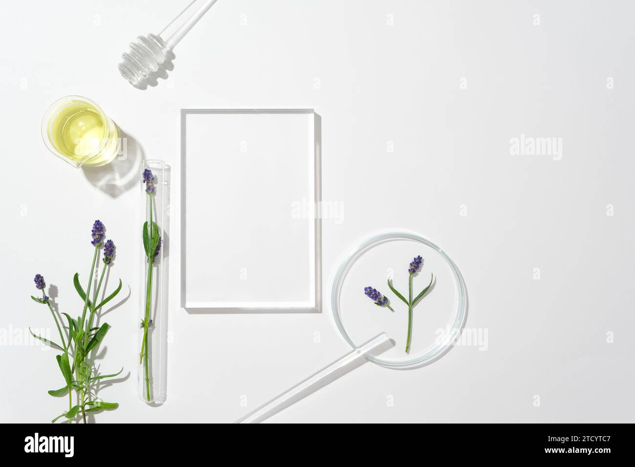 A white backdrop showcases a petri dish, glass platform, rod, test tube ...