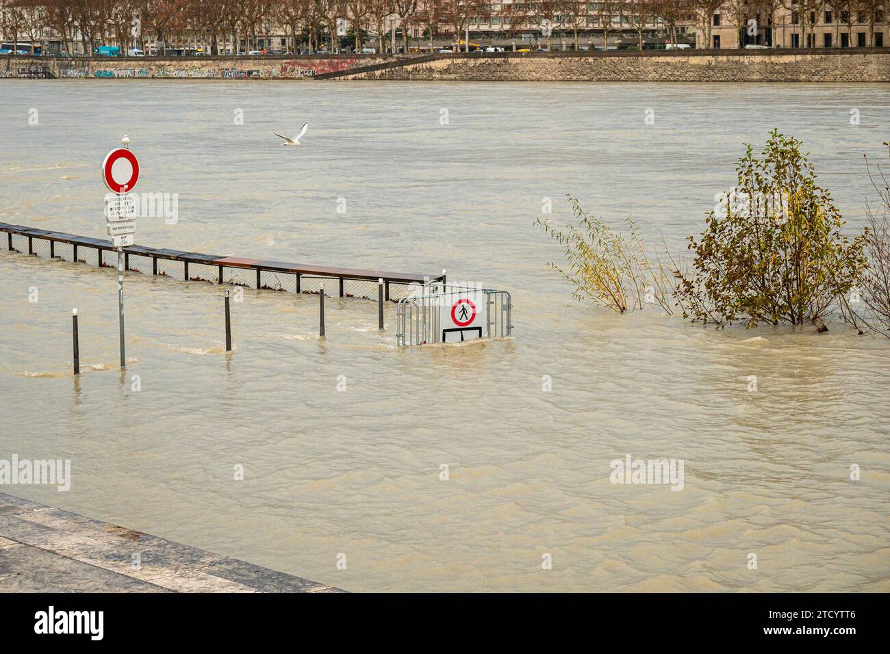 The flooded Rhône overflowing its banks Stock Photo - Alamy
