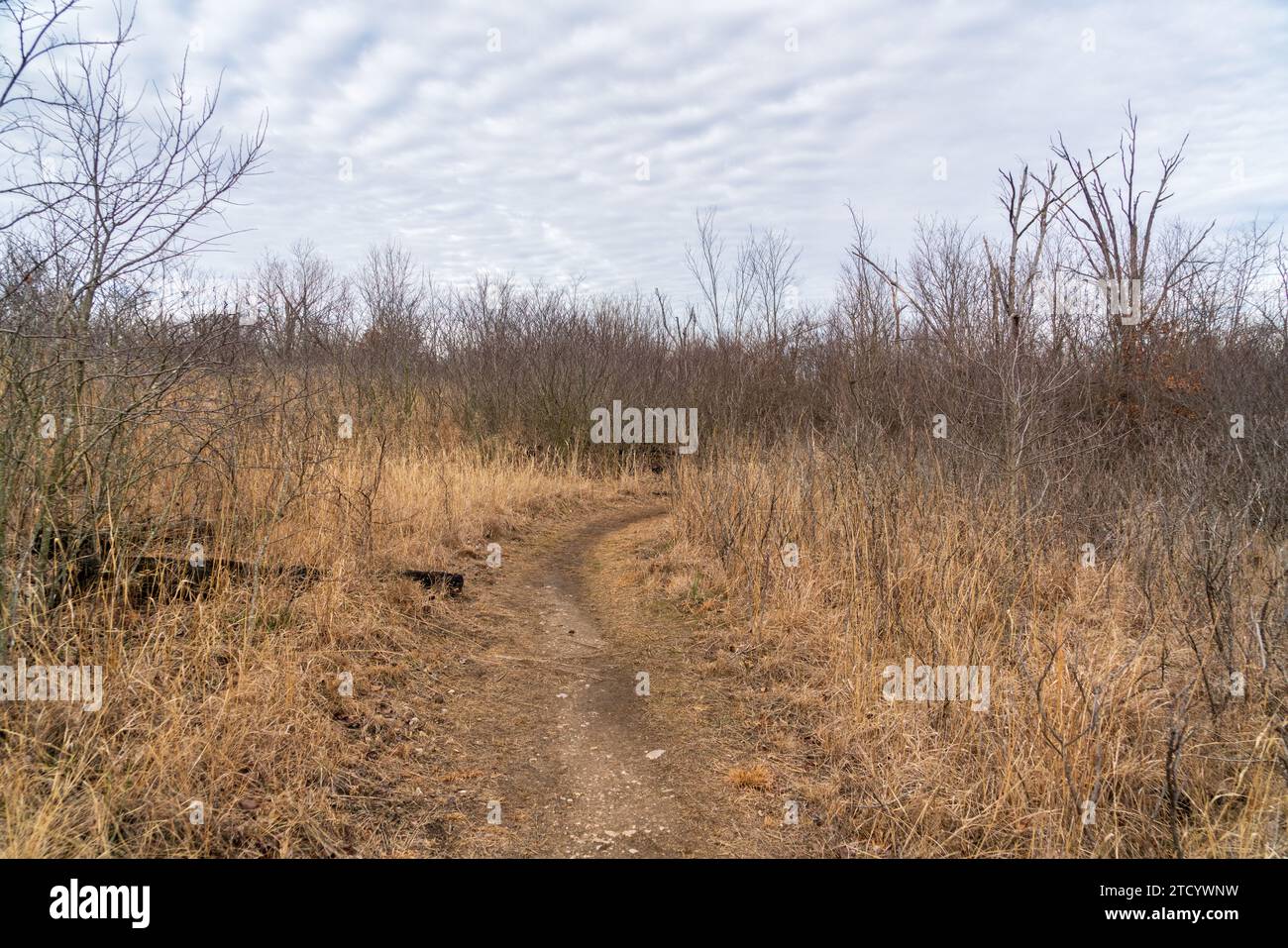 The Chickasaw National Recreation Area in Sulphur, Oklahoma Stock Photo ... The Chickasaw National Recreation Area in Sulphur, Oklahoma Stock Photo ...