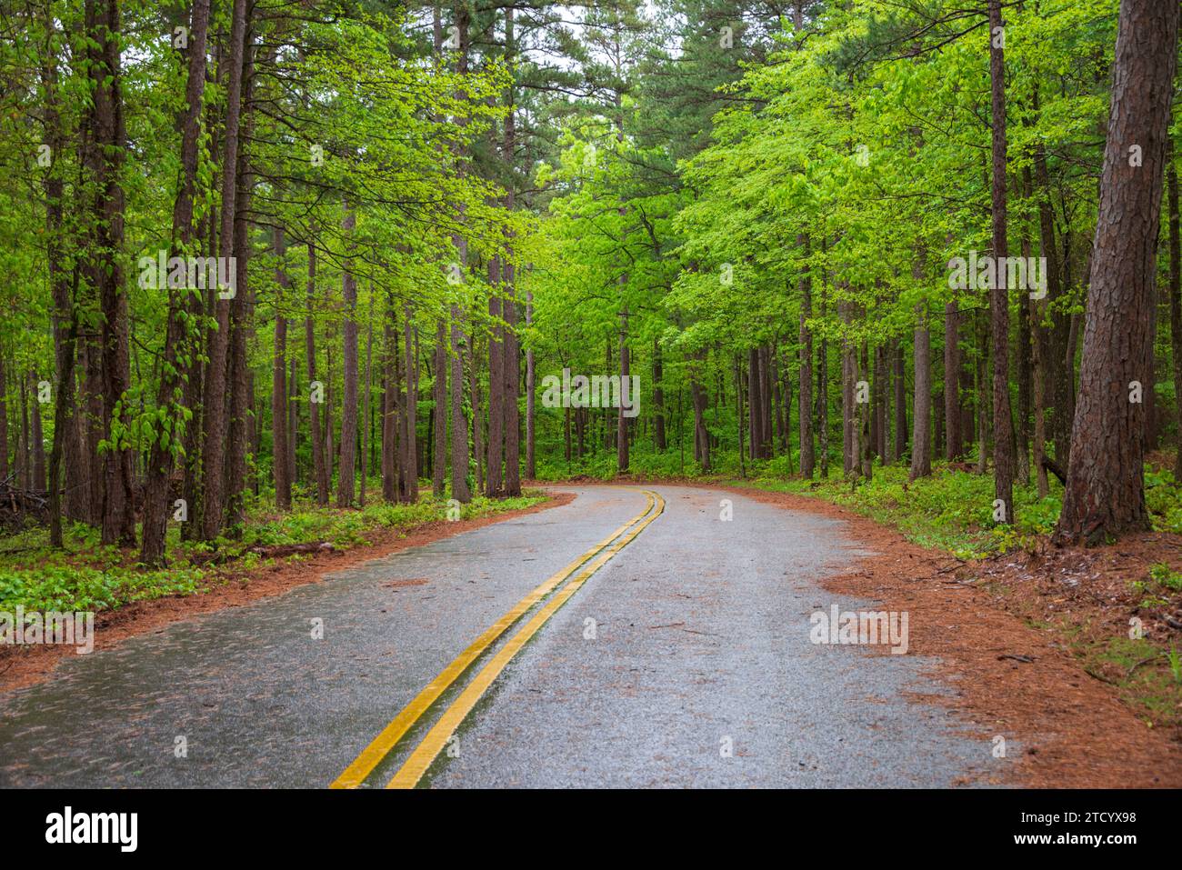 Talimena scenic byway history hi-res stock photography and images - Alamy