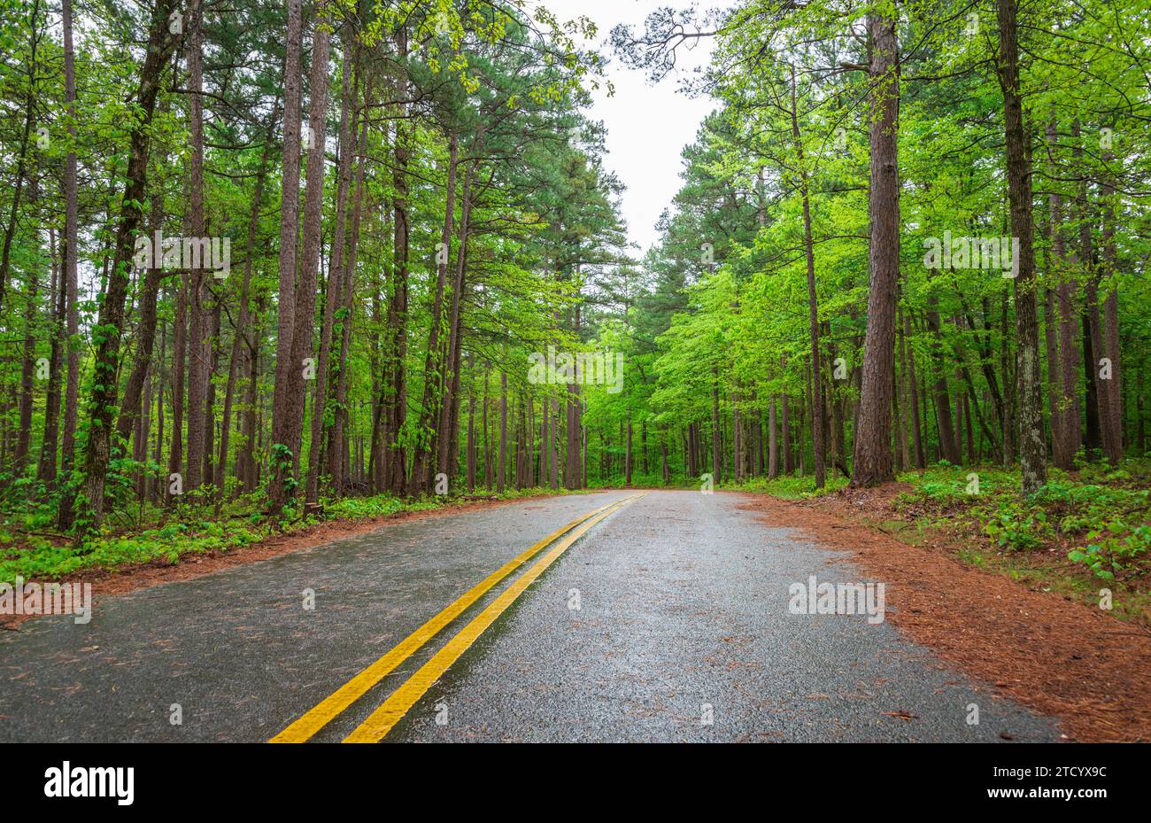 The Winding Road at Talimena Scenic Drive, National Scenic Byway Stock ...