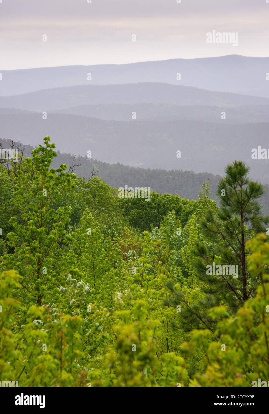 An Overlook at The Talimena Scenic Drive, National Scenic Byway Stock ...