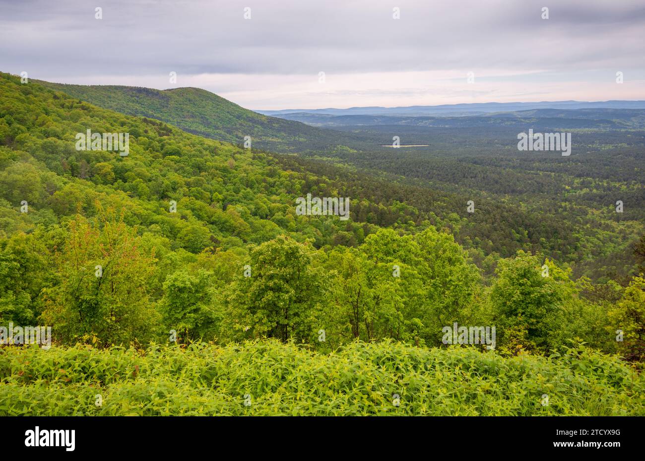 An Overlook at The Talimena Scenic Drive, National Scenic Byway Stock ...