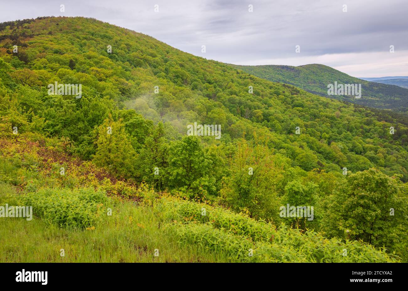 An Overlook at The Talimena Scenic Drive, National Scenic Byway Stock ...