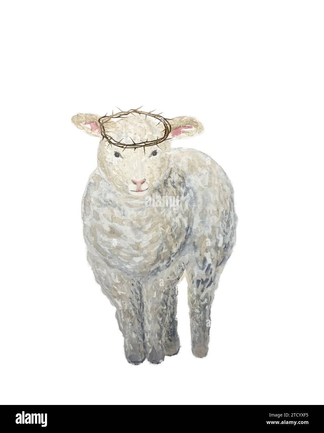 Watercolor lamb with crown of thorns for Easter, holy Thursday ...