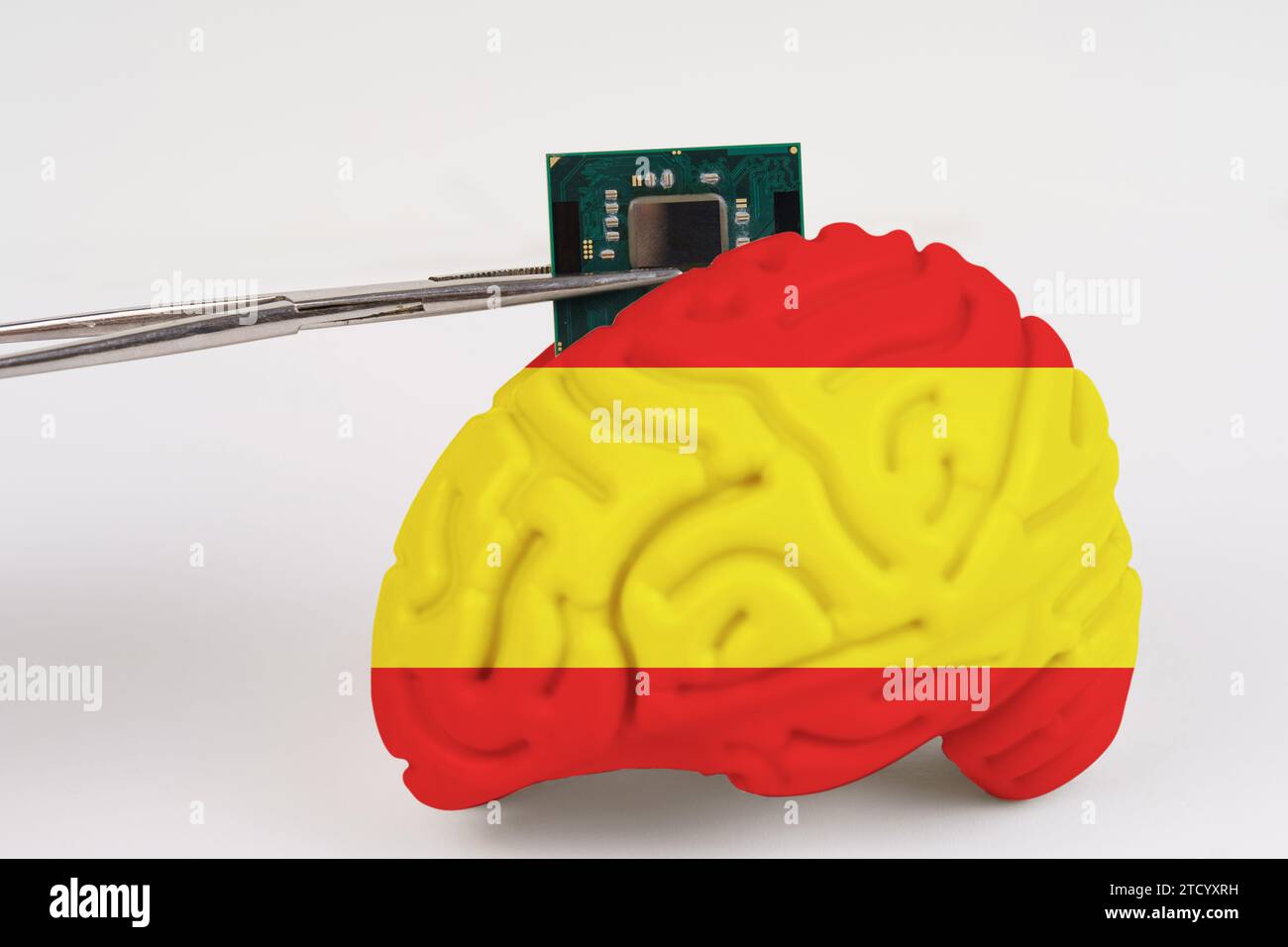 On a white background, a model of the brain with a picture of a flag ...