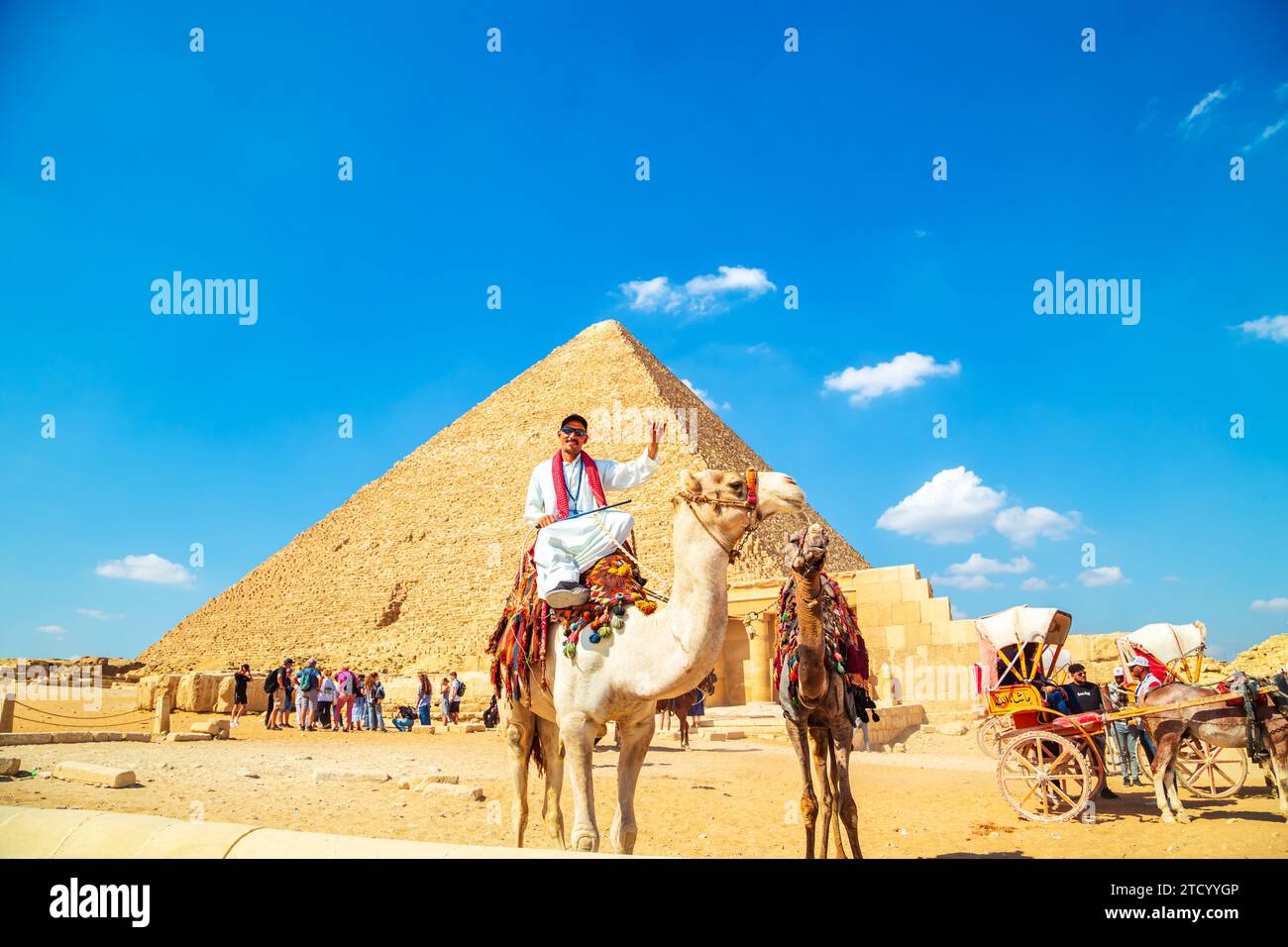 Camel driver near the Great Pyramids of Egypt. Tourist attraction ...