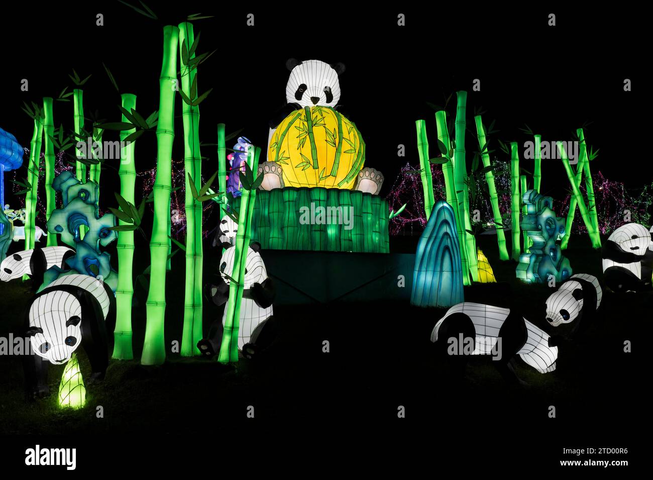 The Great Panda and a herd of panda bears. Opening visit, Castle ...