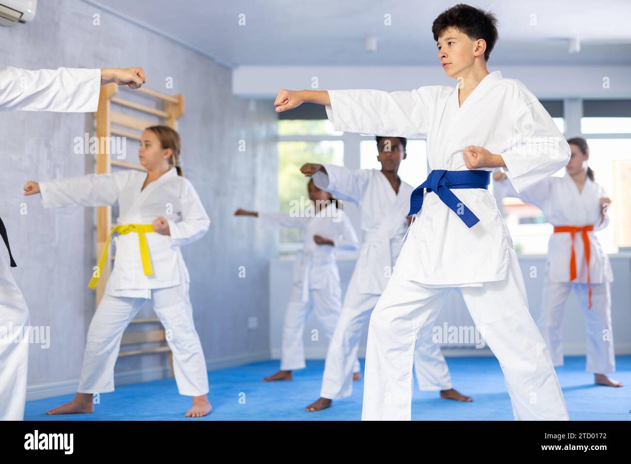 Group of children train karate techniques Stock Photo - Alamy