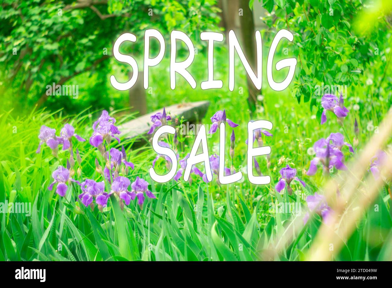 Wallpaper flyers hi-res stock photography and images - Alamy