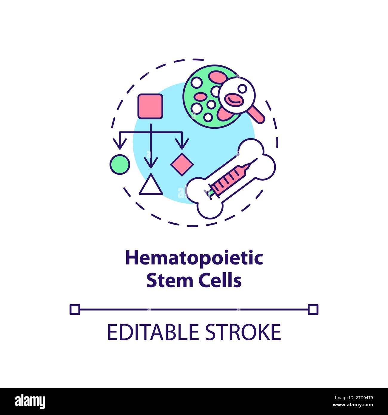 Thin line colorful hematopoietic stem cells icon concept Stock Vector ... Thin line colorful hematopoietic stem cells icon concept Stock Vector ...