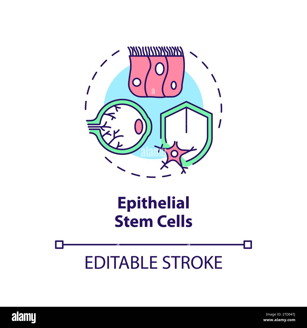 2D editable multicolor epithelial stem cells icon, simple isolated ... 2D editable multicolor epithelial stem cells icon, simple isolated ...