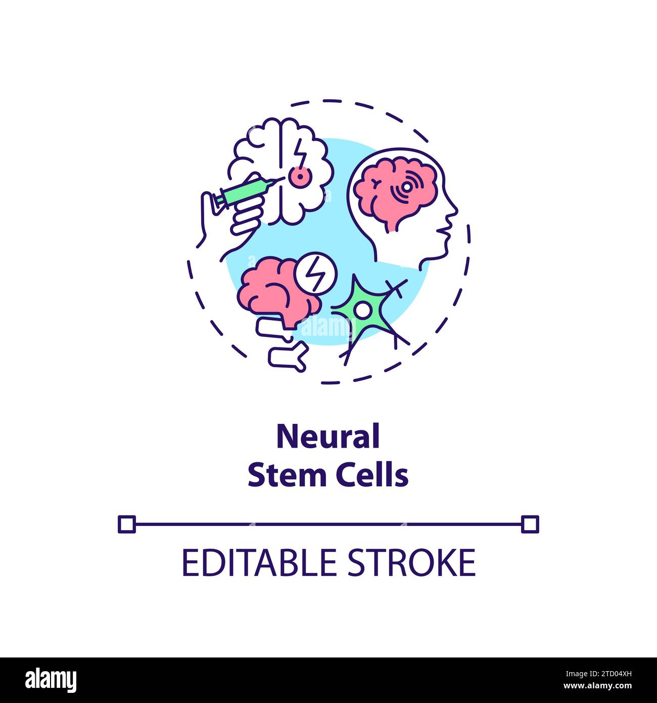 Neural stem cell Stock Vector Images - Alamy