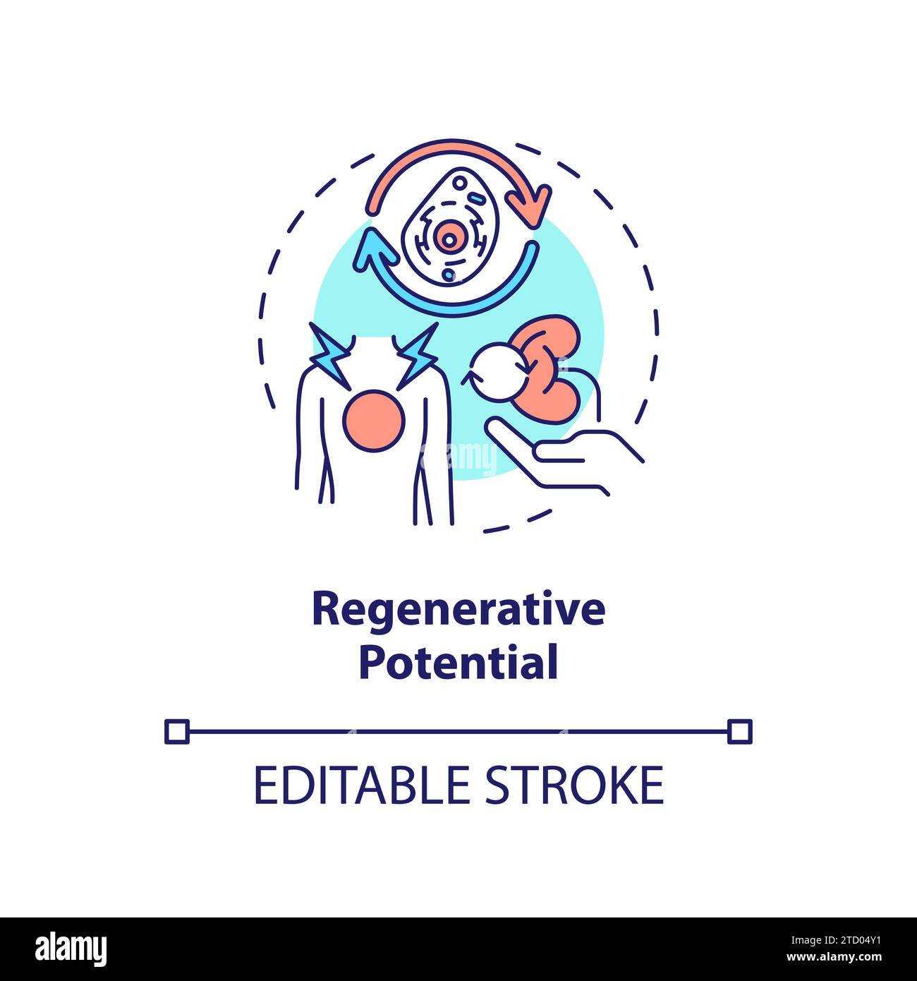 Thin line colorful regenerative potential icon concept Stock Vector ...