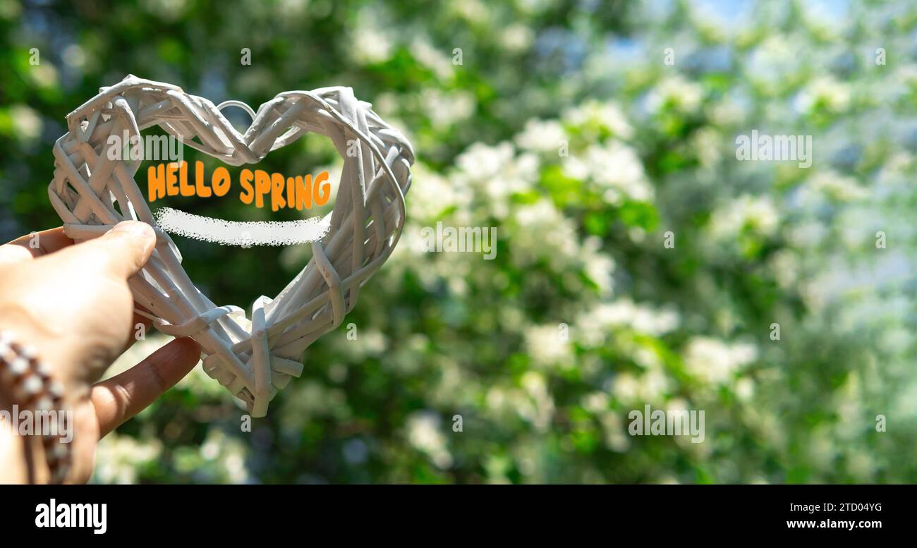 Text Hello Spring. Color spring background with a branch of blooming ...