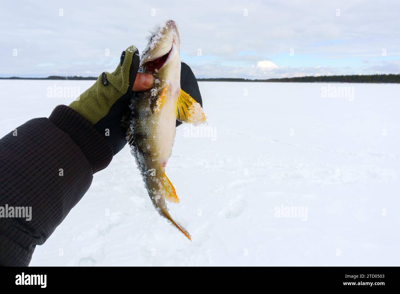 2td0503 hi-res stock photography and images - Alamy