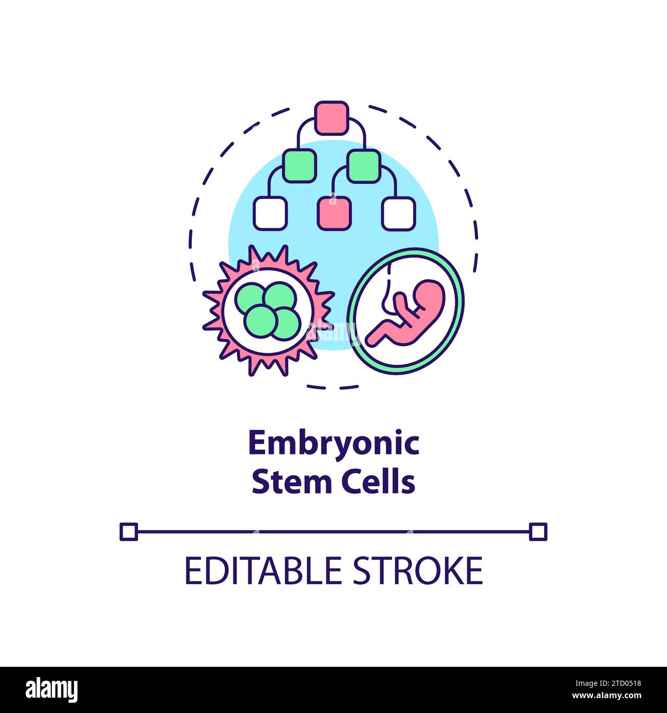Thin line simple colorful embryonic stem cells icon concept Stock ...