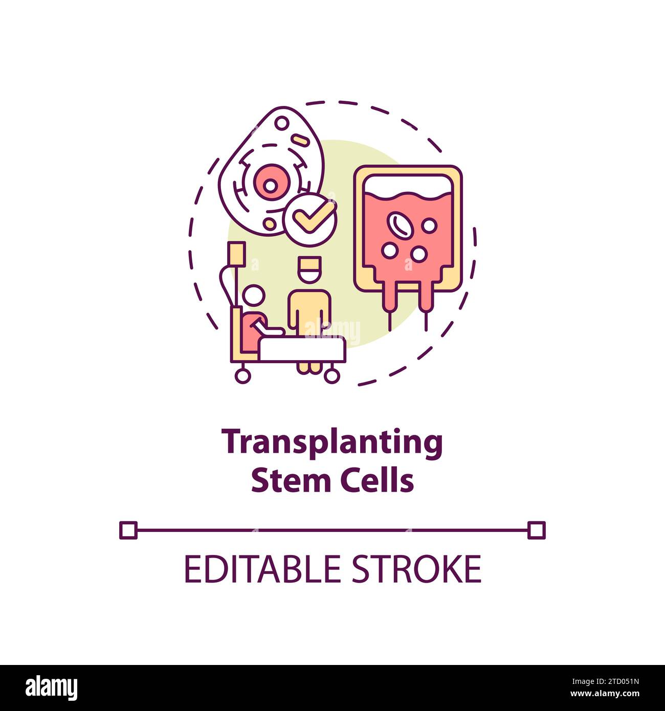 Thin line simple colorful transplanting stem cells icon concept Stock Vector Image & Art - Alamy