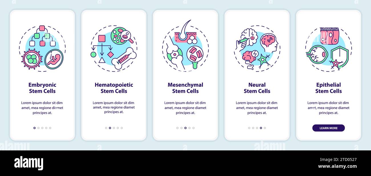 Fat cell types Stock Vector Images - Alamy