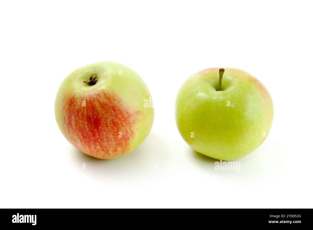 Two fresh green apples isolated on white background with clipping path ...