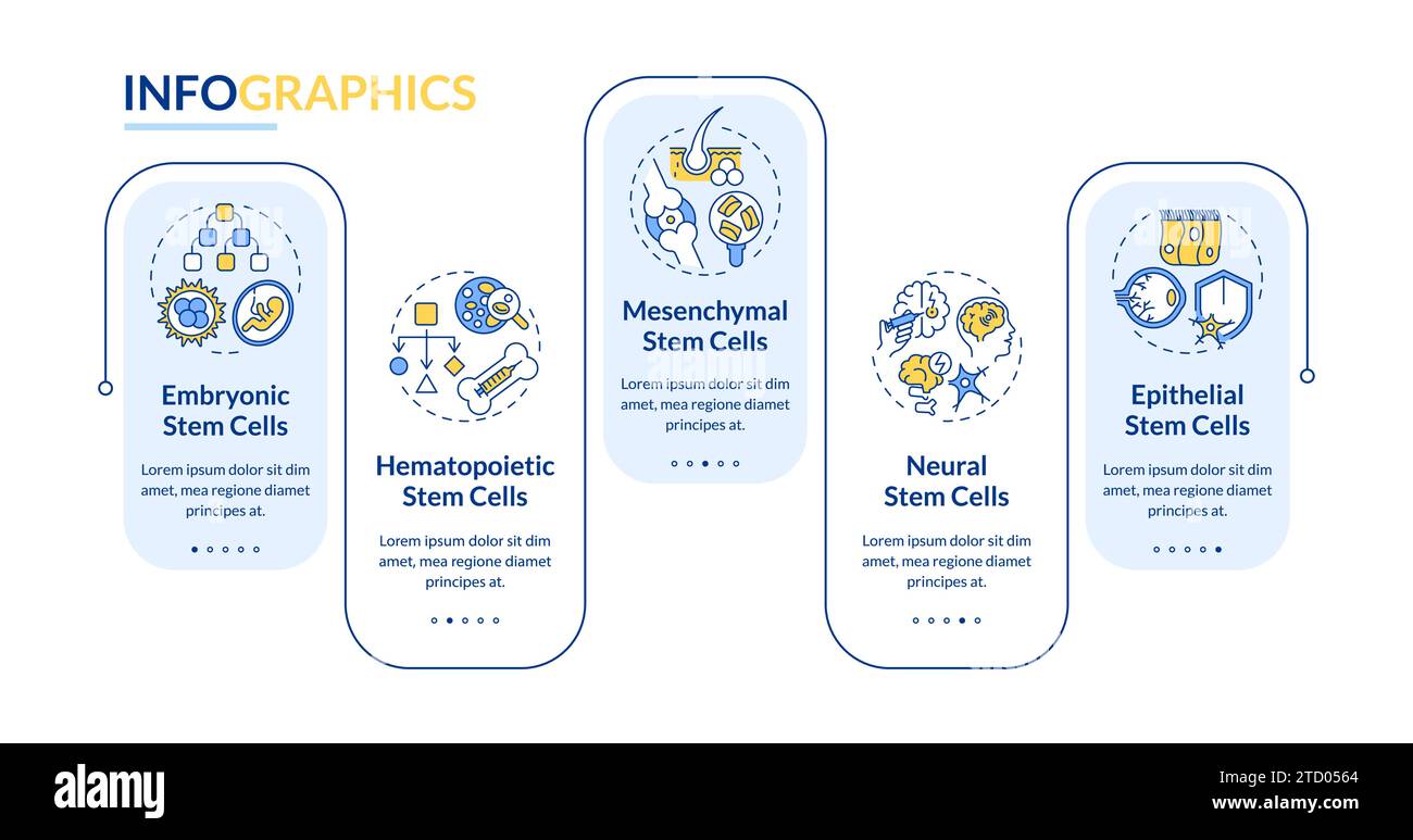 2D cell therapy layout with creative line icons concept Stock Vector ...