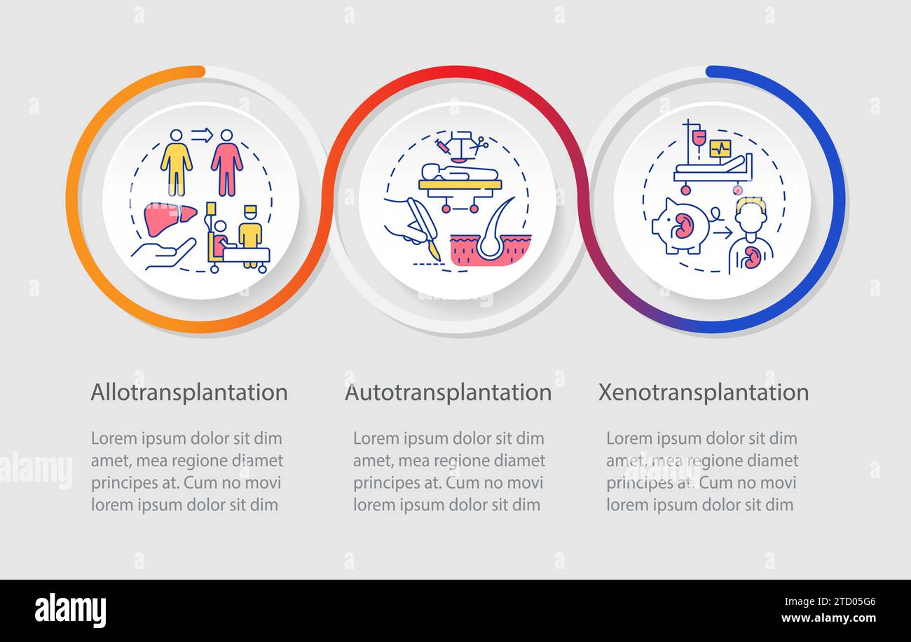 Multicolor cell therapy layout with simple line icons Stock Vector ...
