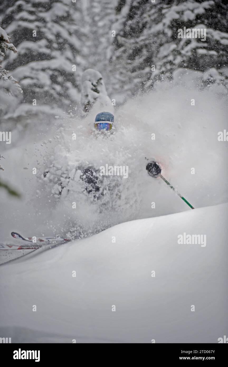 Guide in action hi-res stock photography and images - Alamy