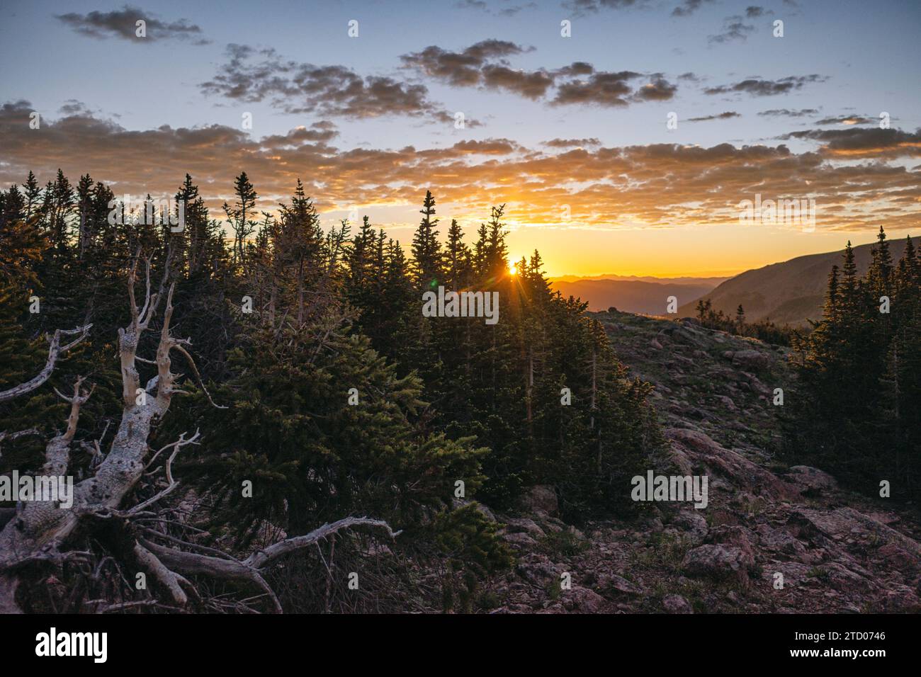 _2td0746 hi-res stock photography and images - Alamy