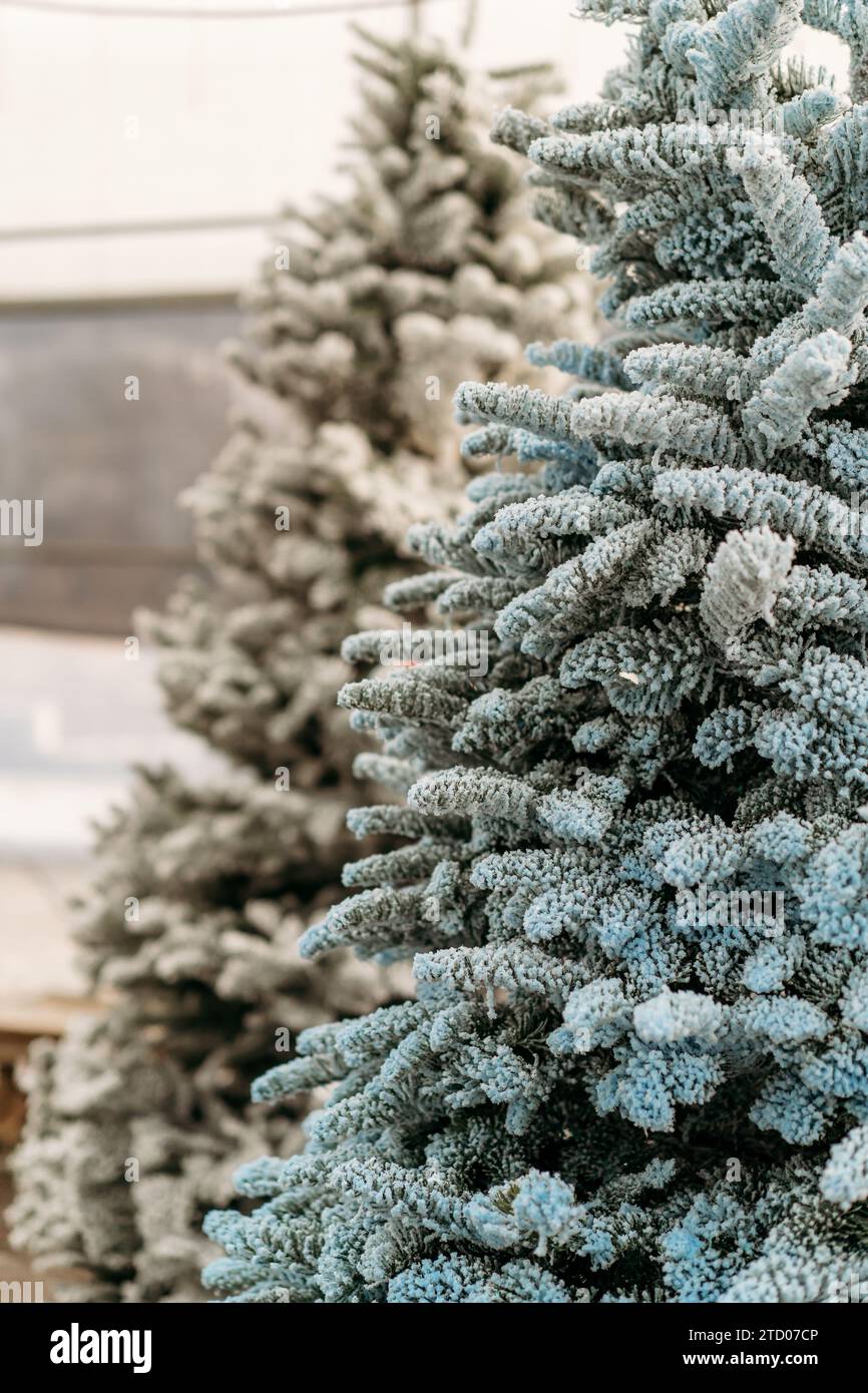 Flocked hi-res stock photography and images - Alamy