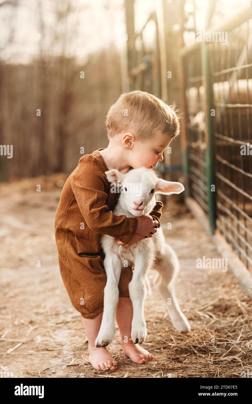 Child with lamb farm hi-res stock photography and images - Alamy