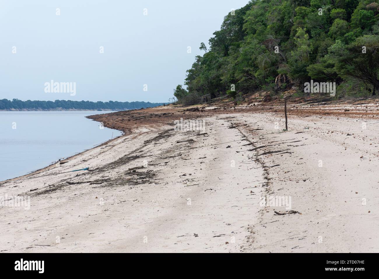 Sand beach by Negro River seen during severe drought in the Amazon ...