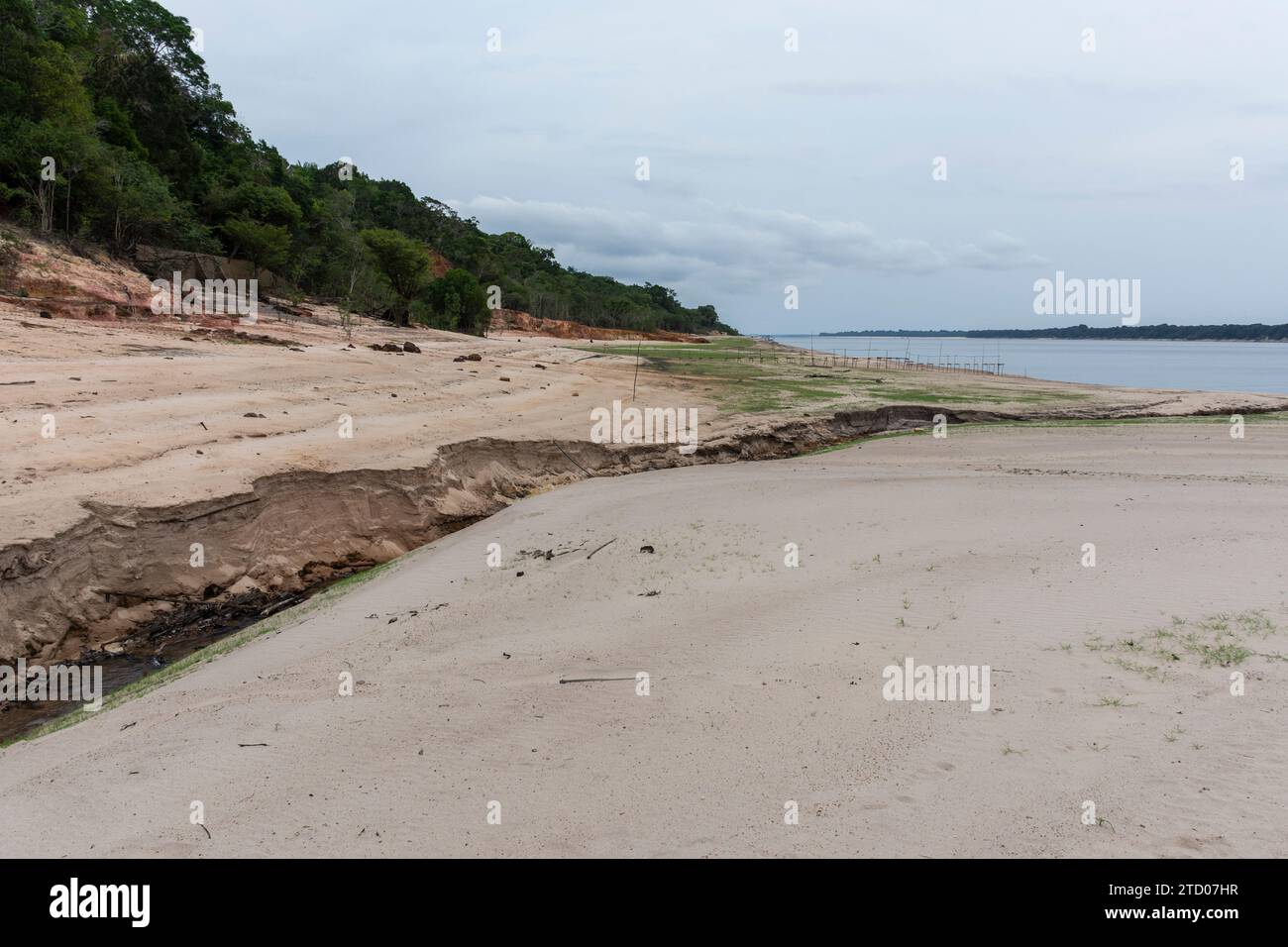 Sand beach by Negro River seen during severe drought in the Amazon ...