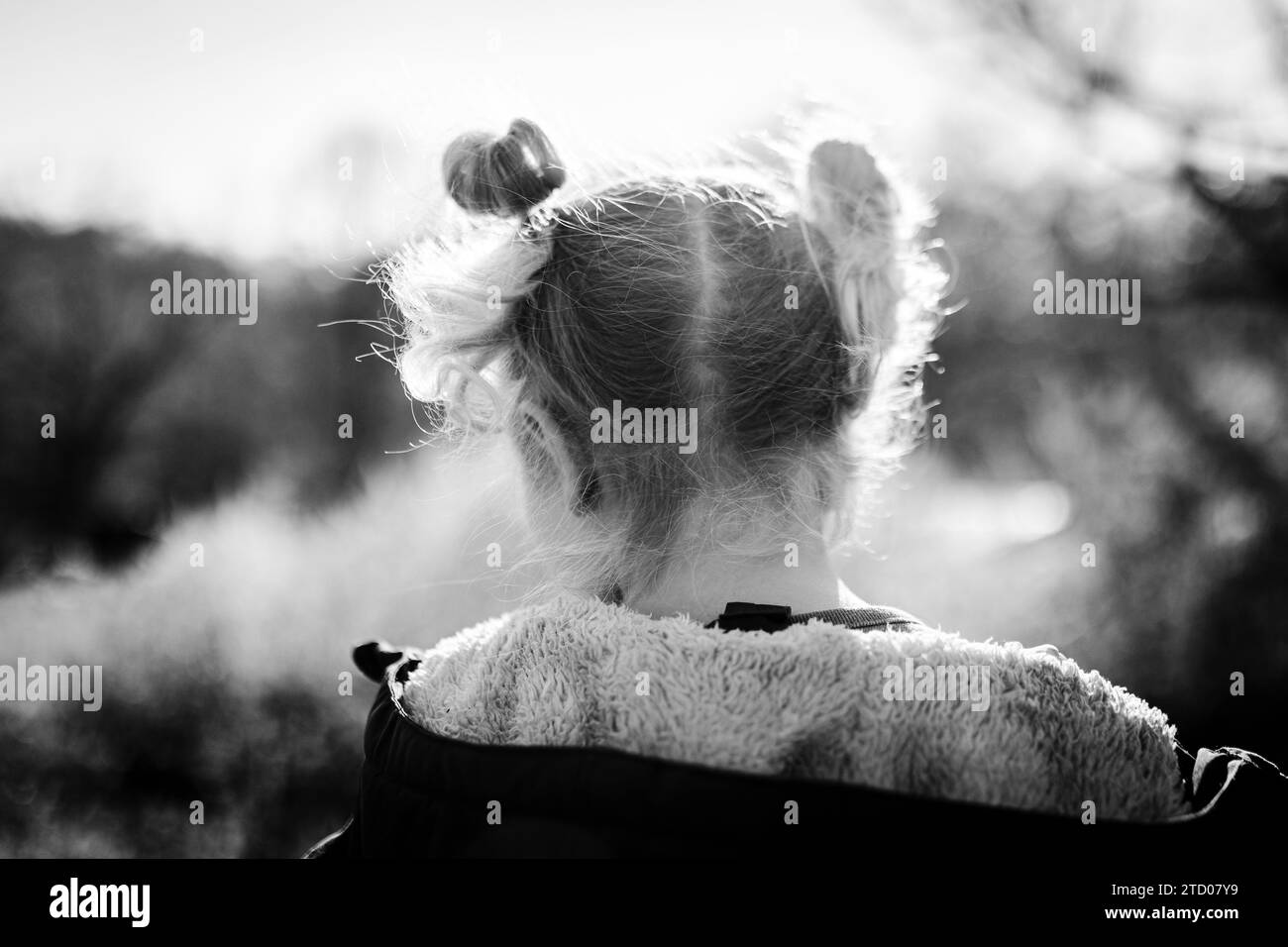 Back view close up of child with pigtails on windy day Stock Photo - Alamy