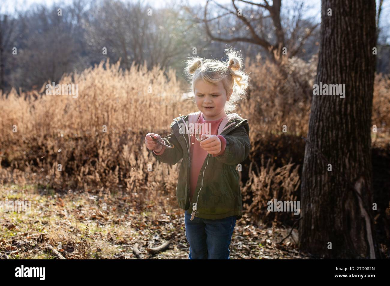Child opening seed pod watching seeds fly out Stock Photo - Alamy
